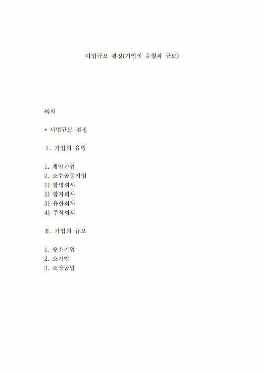 사업규모 결정(기업의 유형과 규모)