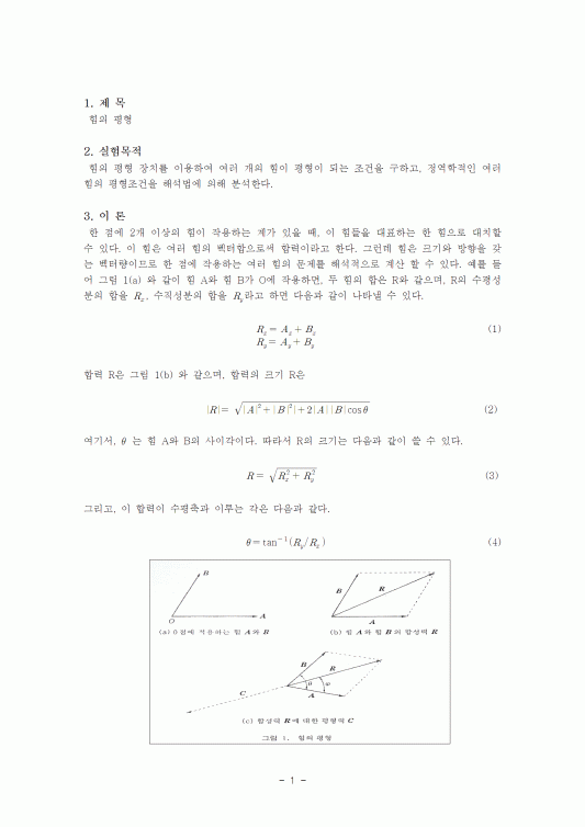 [자연과학] 힘의 평형 [논문]