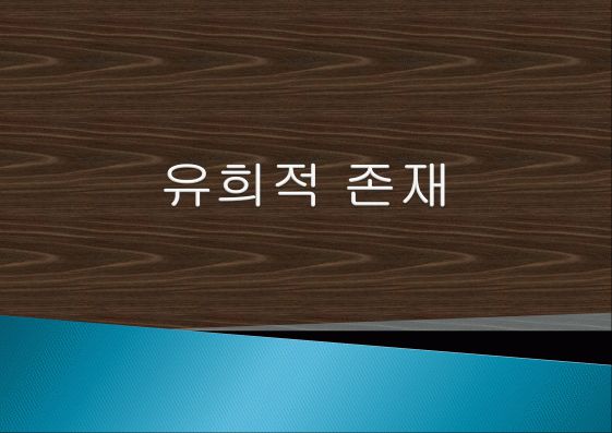 유희적 존재 레포트 자료