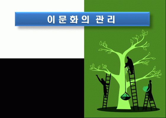 이문화의 관리