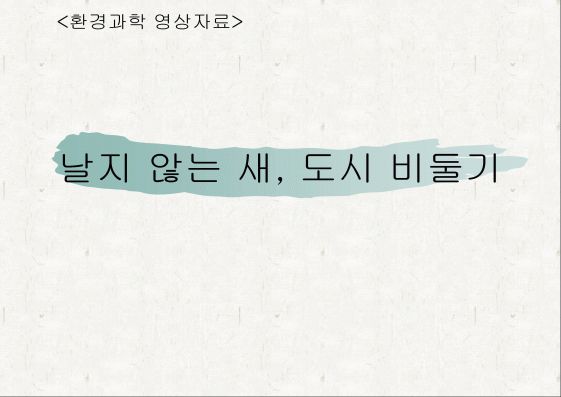 (6.4) 날지않는 새, 도시 비둘기
