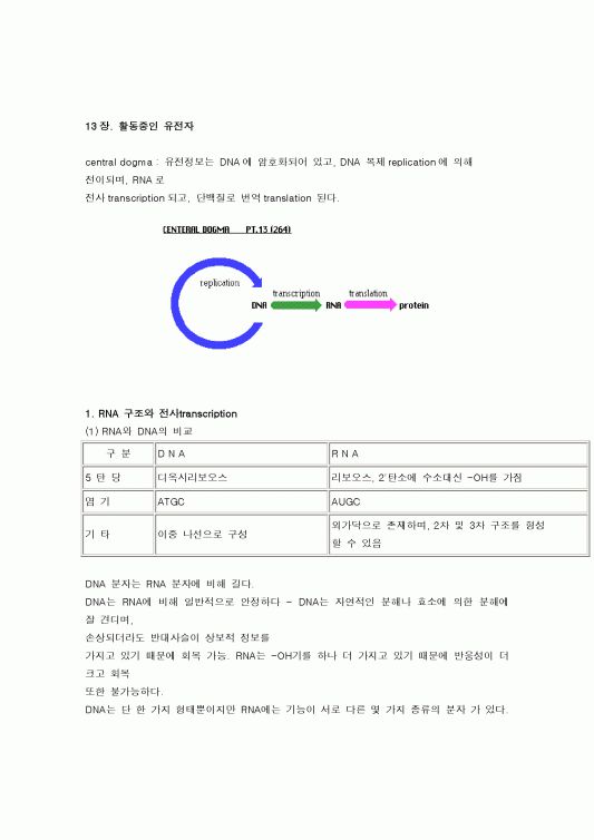 13장. 활동중인 유전자