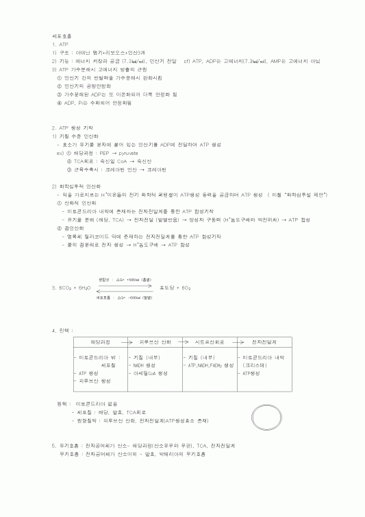생물4-세포호흡