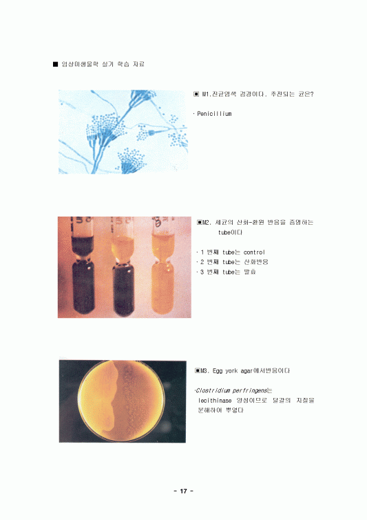 임상미생물학 실기 학습 자료