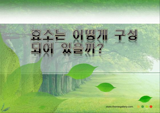 효소는 어떻게 구성되어 있을까?