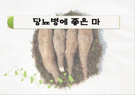 마(건강식품) 레포트 자료