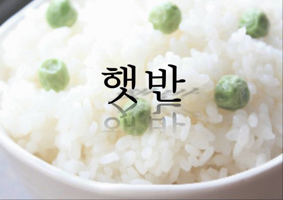 햇반(즉석밥시장)