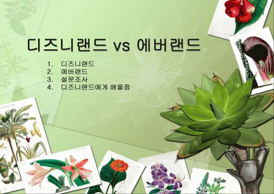 디즈니랜드 vs 에버랜드