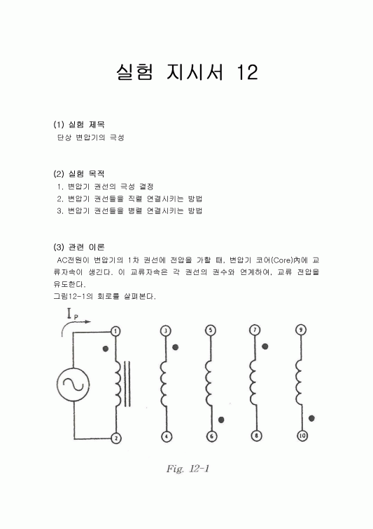 단상변압기, 단권변압기 사전보고서 (단상 변압기의 극성, 변압기의 전압 변동율, 변압기의 병렬연결)
