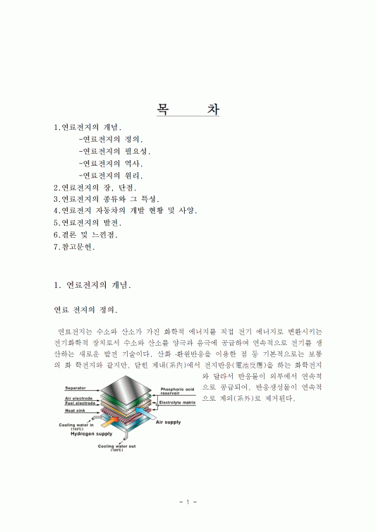 연료전지 [공학/컴퓨터/통신]