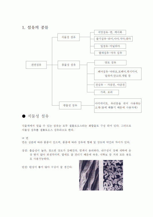 섬유의 종류 레포트 자료