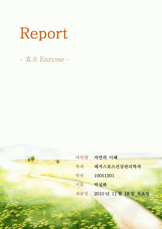 효소 레포트 자료