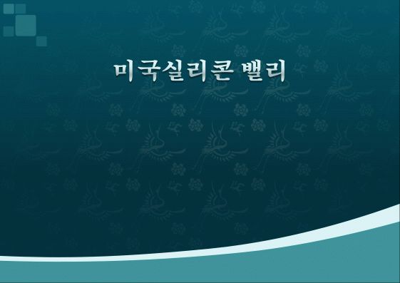 미국 실리콘 밸리