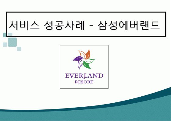 [마케팅 성공사례] 서비스 성공사례 - 삼성에버랜드