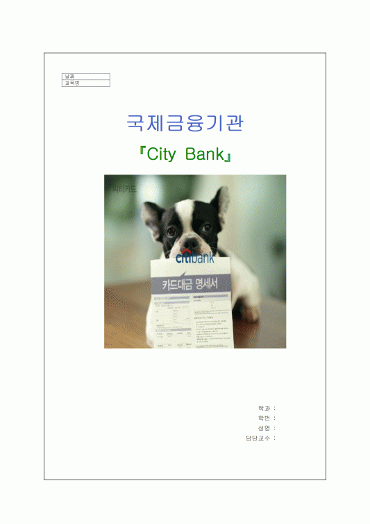 [City Bank] 레포트 자료