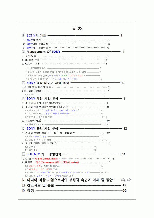 [SONY] 레포트 자료