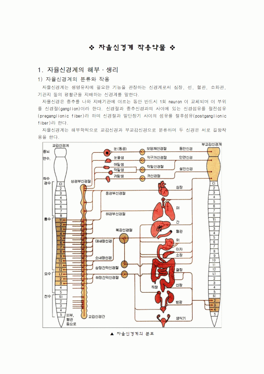 자율신경계 약물