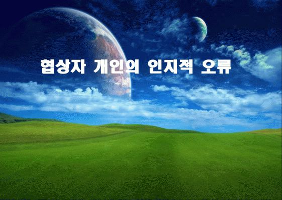 협상자개인의 인지적오류