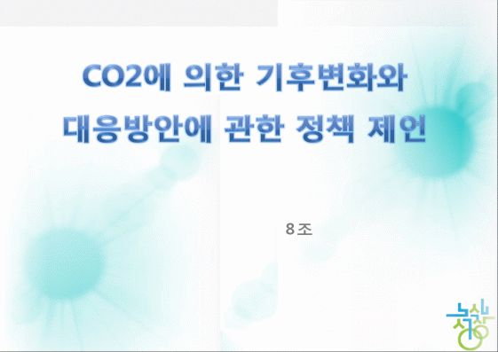co2에 의한 기후변화와 대응방안에 관한 정책제언