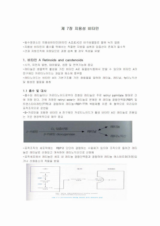 고급영양학 제_7장_지용성_비타민