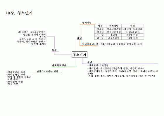 청소년기부터 노년기 마인드맵 요점정리