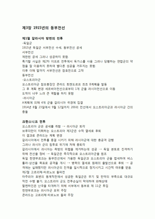 제3장 1915년의 동부전선 & 제4장 베르됭․솜 전투 & 제5장 동부전선