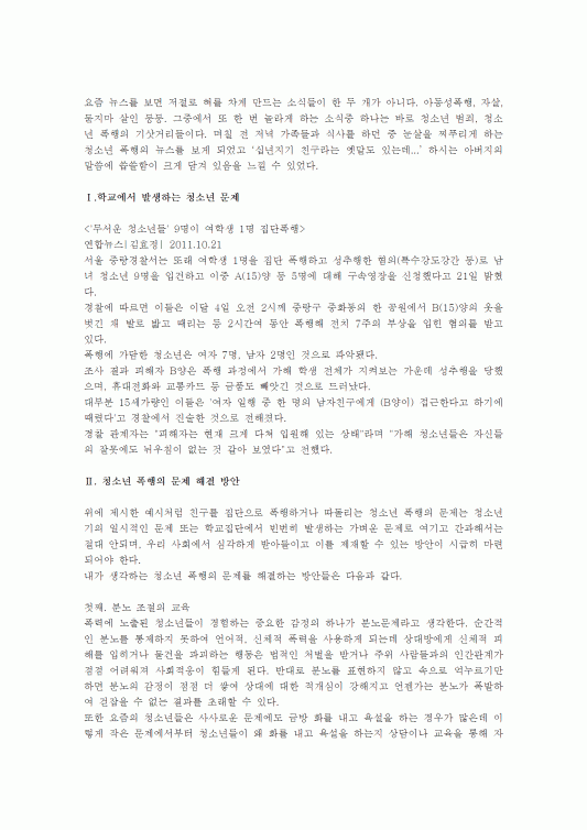청소년 폭행 레포트 자료