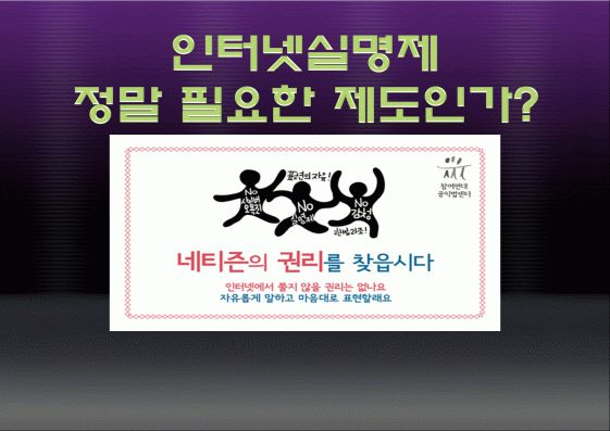 인터넷실명제 ppt