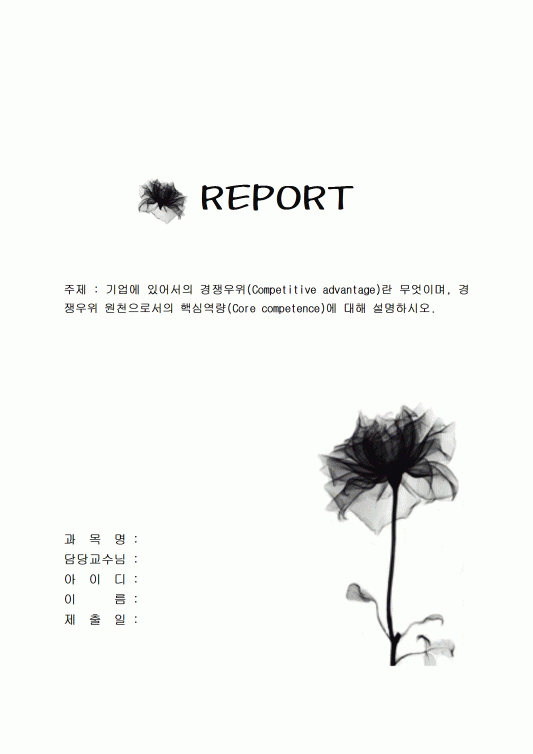 경영학개론-경쟁우위와 핵심역량 설명