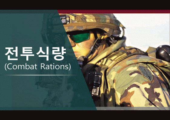 전투식량 레포트 자료