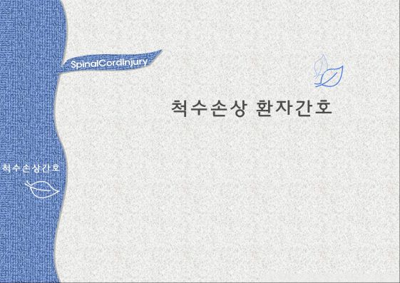 척수손상 환자간호