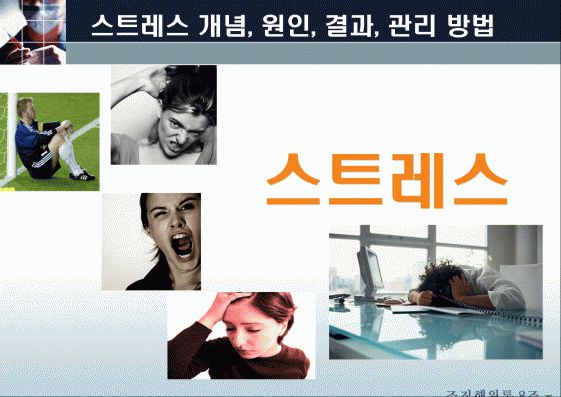 스트레스 개념, 원인, 결과, 관리 방법