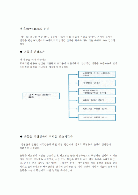 웰니스 운동 레포트 자료