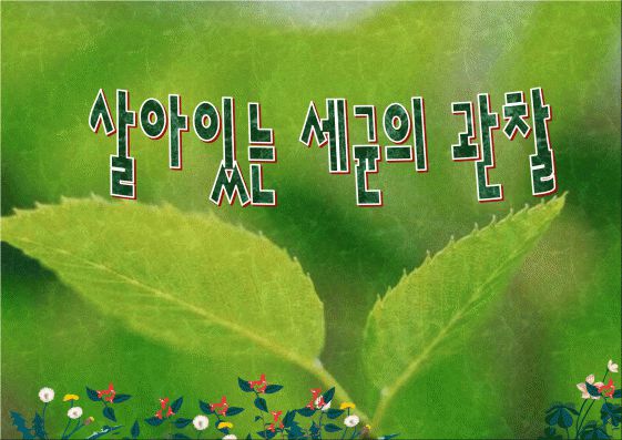 수처리공정- 살아있는 세균의 관찰