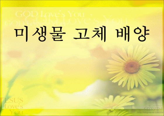 수처리공정실험-미생물 고체 배양(평판배지& 액체& 반고체& 사면배지)