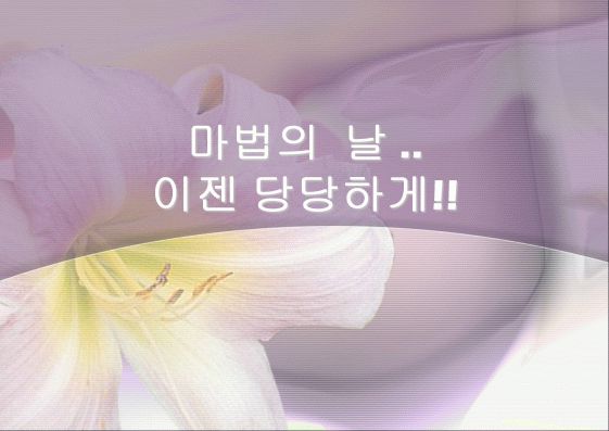 마법의  날 .. 이젠 당당하게!!