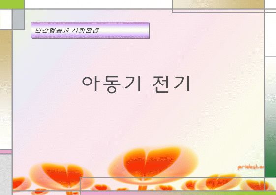 아동기 전기의 특성(인간행동과 사회환경)