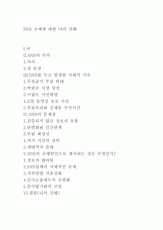 SNS 규제에 대한 나의 견해