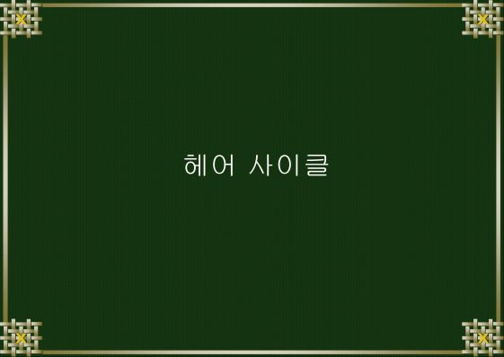 헤어 사이클 레포트 자료