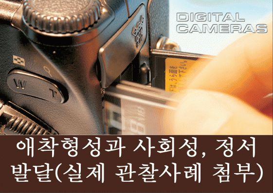 애착형성과 사회성, 정서 발달(실제 관찰사례 첨부)