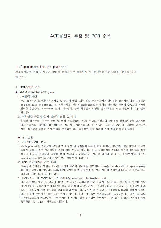 ACE유전자 추출 및 PCR 증폭