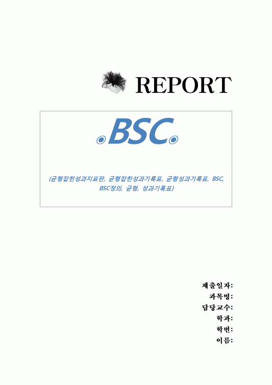 BSC(균형잡힌성과지표판, 균형잡힌성과기록표, 균형성과기록표, BSC정의, 균형, 성과기록표)