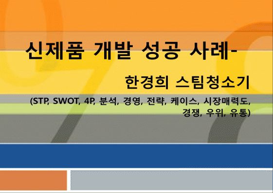 신제품 개발 성공 사례-한경희 스팀청소기(STP, SWOT, 4P, 분석, 경영, 전략, 케이스, 시장매력도, 경쟁, 우위, 유통)