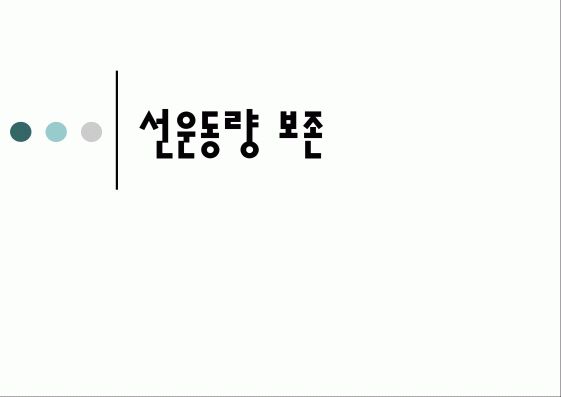 선운동량 보존