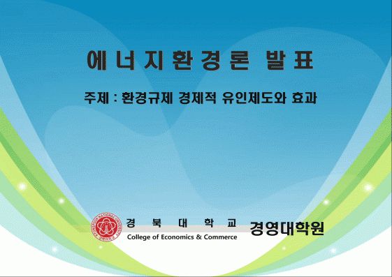 환경규제 경제적유인제도 효과와 EPR제도