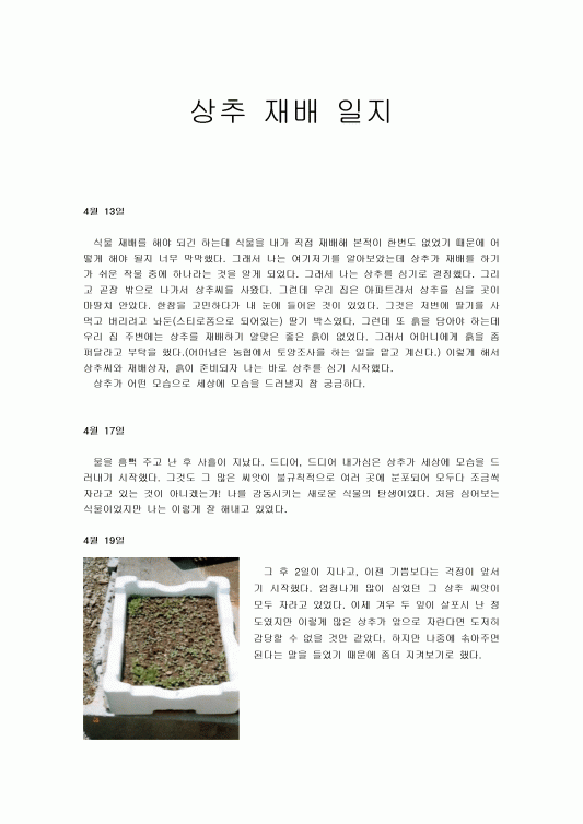상추_재배일지