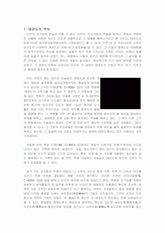 태권도의 역사 [예체능]
