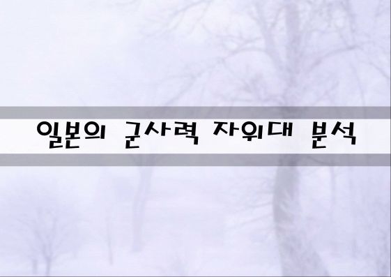 일본의 군사력 자위대 분석