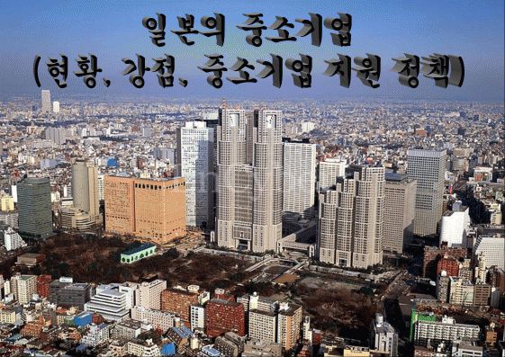 일본의 중소기업(현황, 강점, 중소기업 지원 정책)