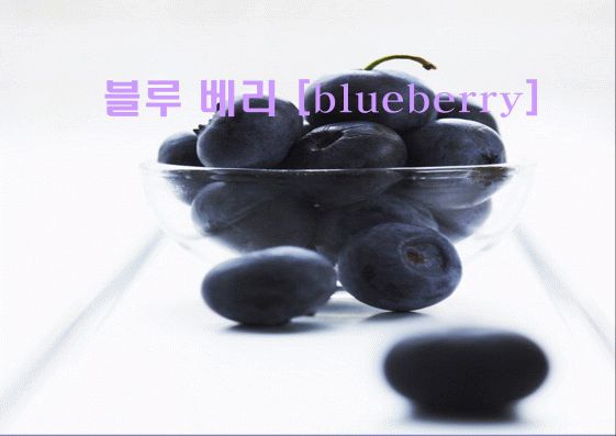 블루 베리 (blueberry)